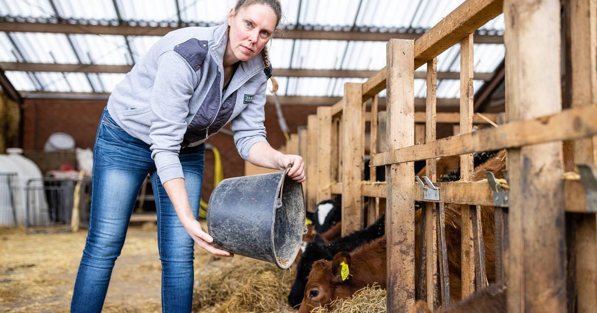 Onverwachte hulp voor boerin Chantal die dwangsom boven het hoofd hangt: ‘Hoop doet leven ...