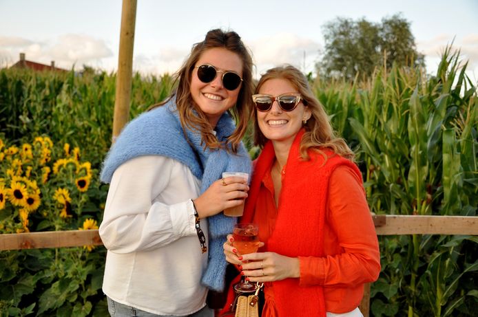 IN BEELD. Campo Solar in Damme start onder stralende zon | Damme | hln.be