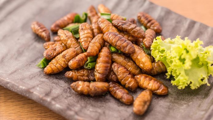 Pourquoi on a tout intérêt à se mettre à manger des insectes | Manger ...