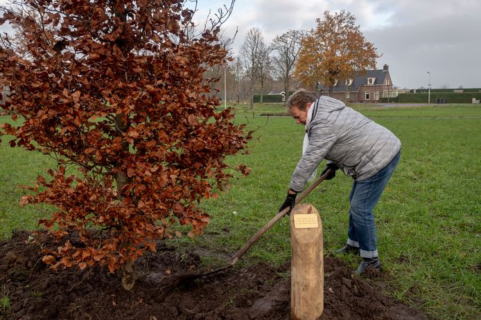 Bomen planten ter nagedachtenis van dierbaren in het Levensbos: ‘Zo leeft hij letterlijk voort ...