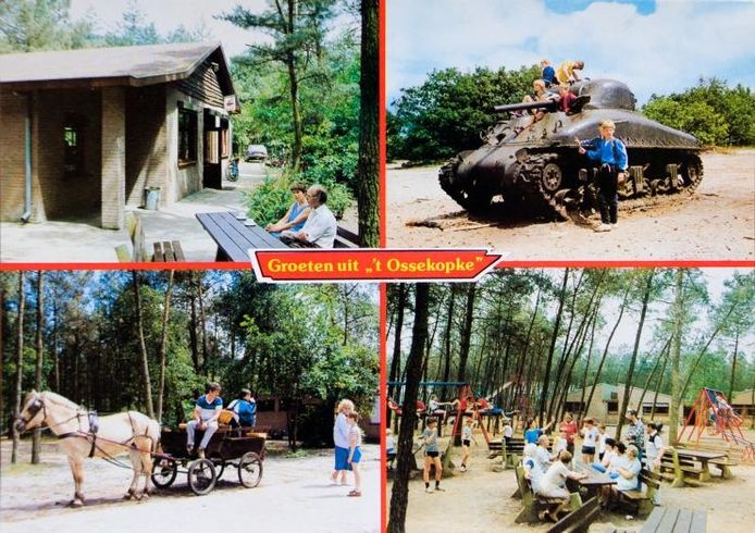 Gouden Ossekopke in Rucphense bos | Roosendaal | bndestem.nl