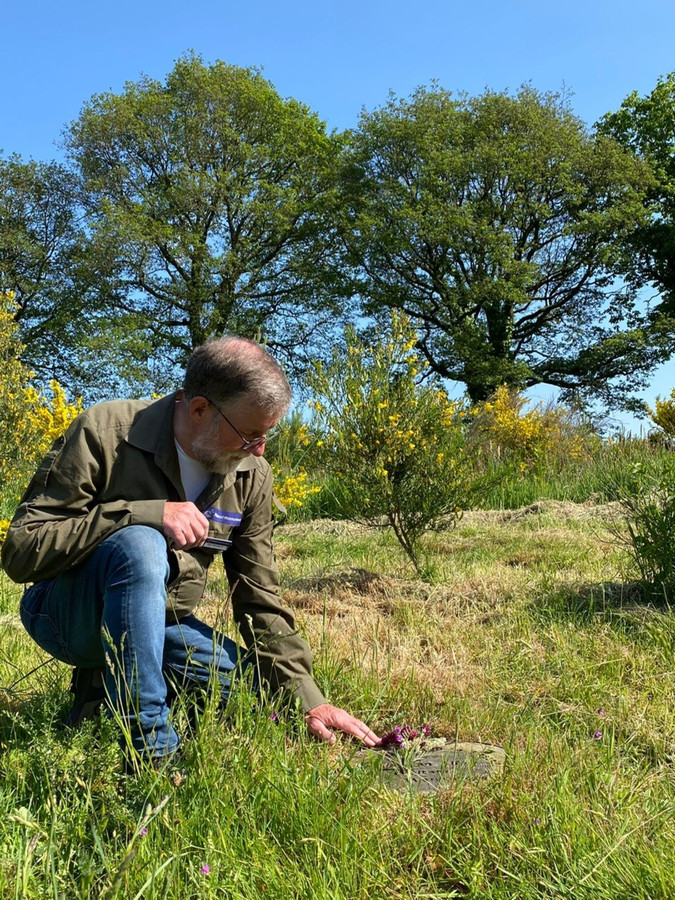 Op Landgoed Mookerheide zorgt de natuur voor het graf | Foto ...