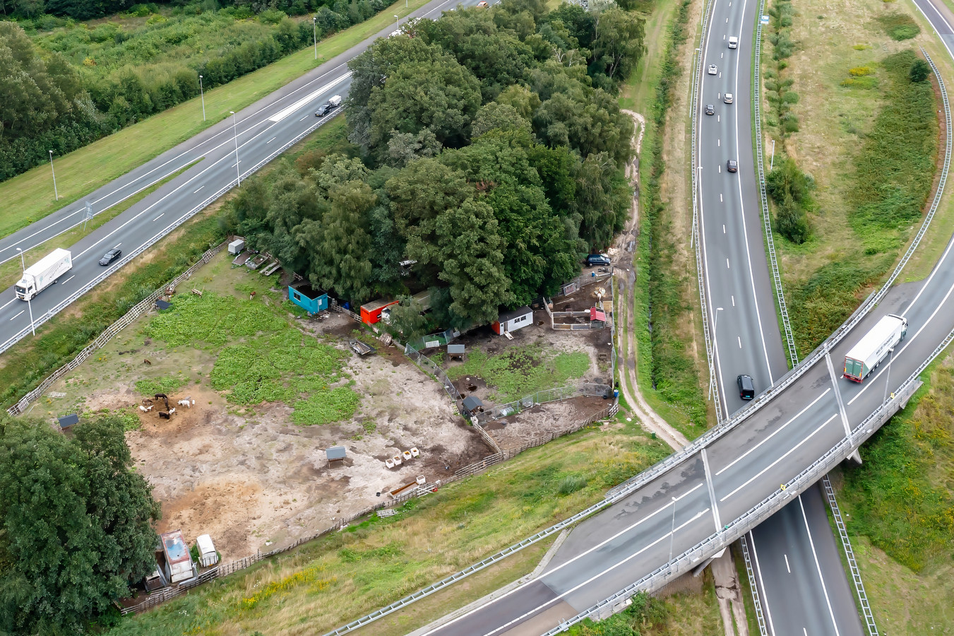tilburger-bij-a58-kan-met-nieuwe-wet-op-houden-dieren-de-dans-niet-meer