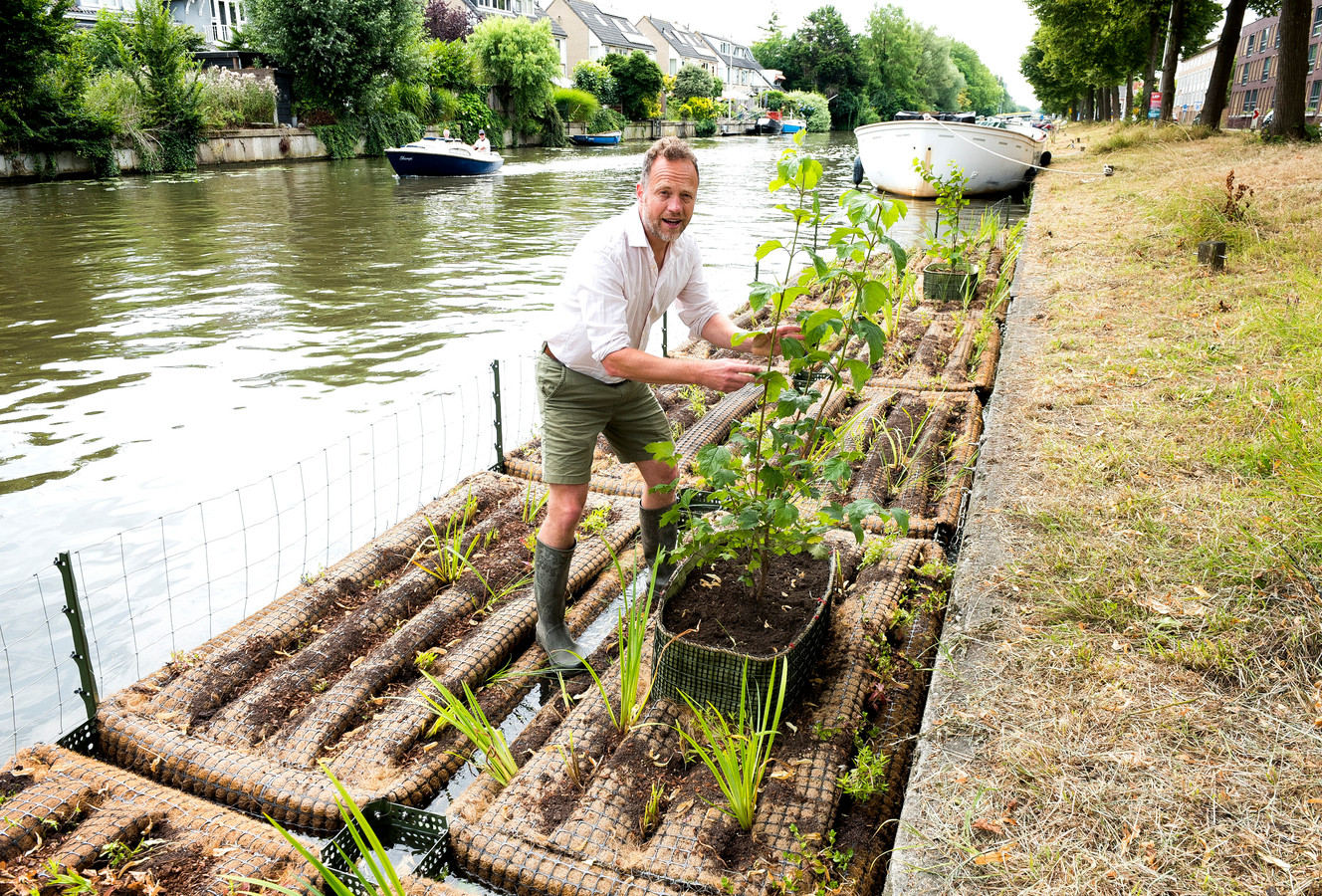 Groene drijvende ‘tuintjes’ in de Vaartsche Rijn verbeteren ...
