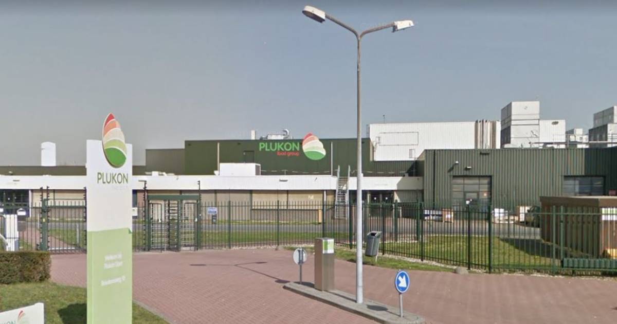 Zorg over vele coronabesmettingen bij pluimveeslachterij Plukon in Goor ...