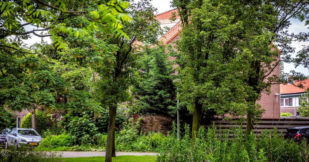 Wendy wil zo veel mogelijk kaartjes voor 10-jarig Vlaardings meisje: ‘Laten weten dat ze wel ...