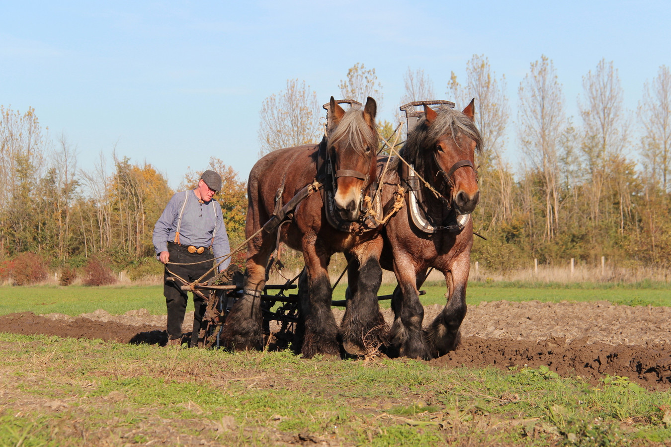 Eerst de ploegscharen scherpen, en dan maar koffiedrinken | Foto | pzc.nl