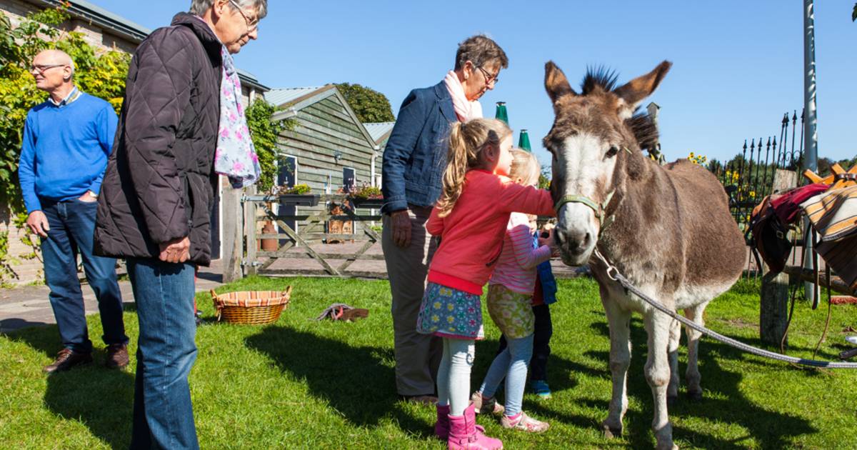 Stichting Meierode slaat nieuwe koers in en zoekt connectie tussen jong ...