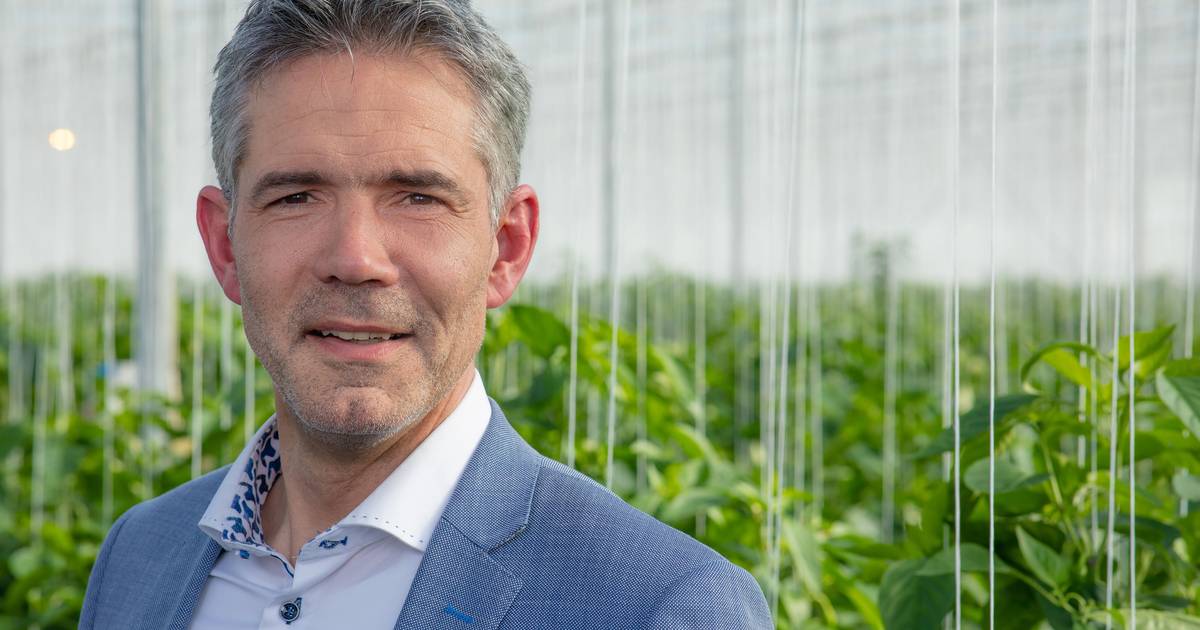 Jan Opschoor na tien jaar weg als directeur bij Growers United: ‘Ik ...