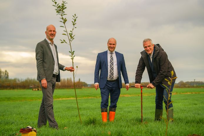 Eerste boom Koning Willem I Bos bij het toekomstige Vijfde Dorp al ...