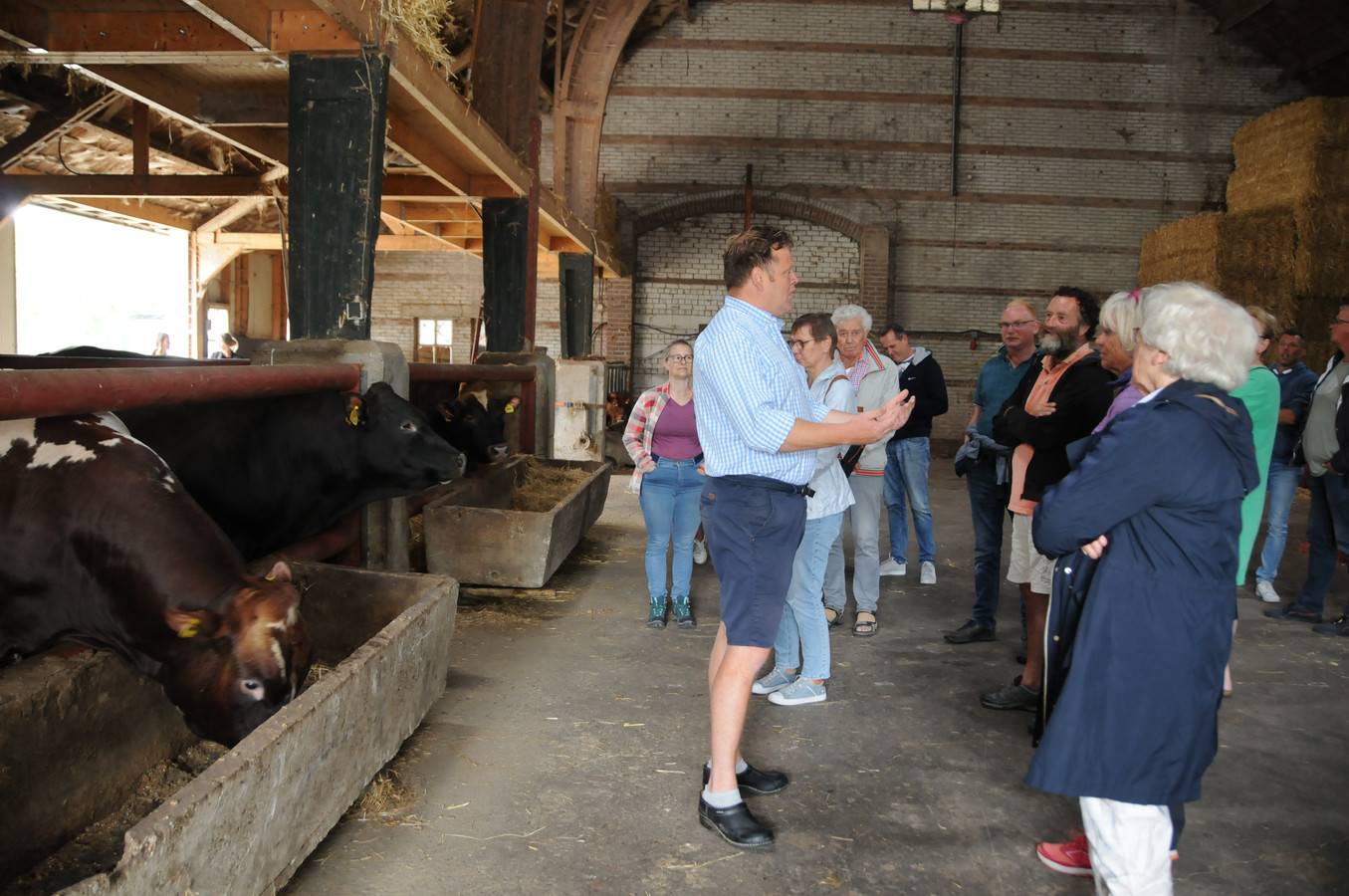 Wie de enige boerenkoolteler van Zeeland is en hoe een dikbil bevalt ...