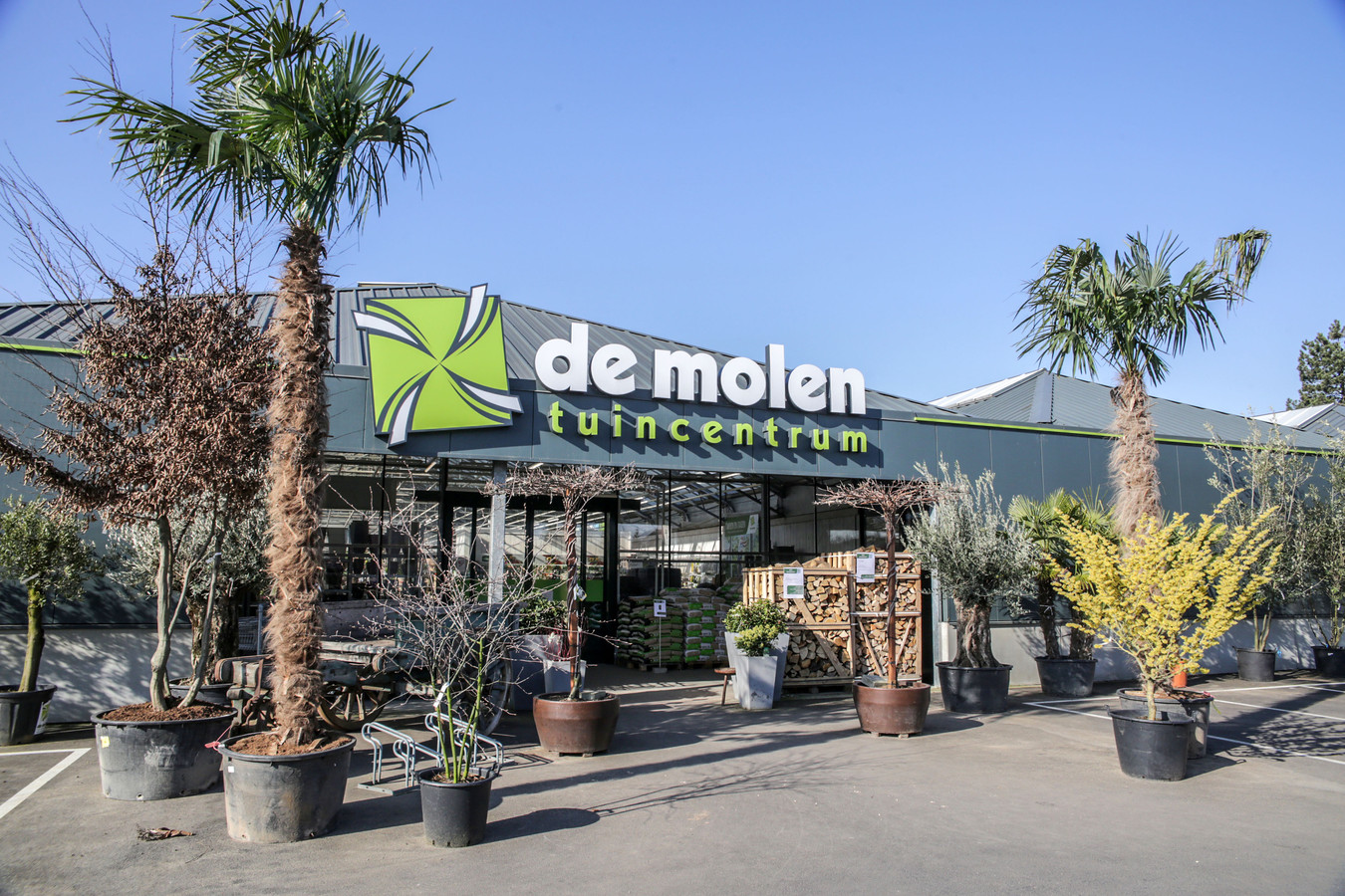 Tuincentrum De Molen is het beste West-Vlaamse tuincentrum: “Elke klant ...