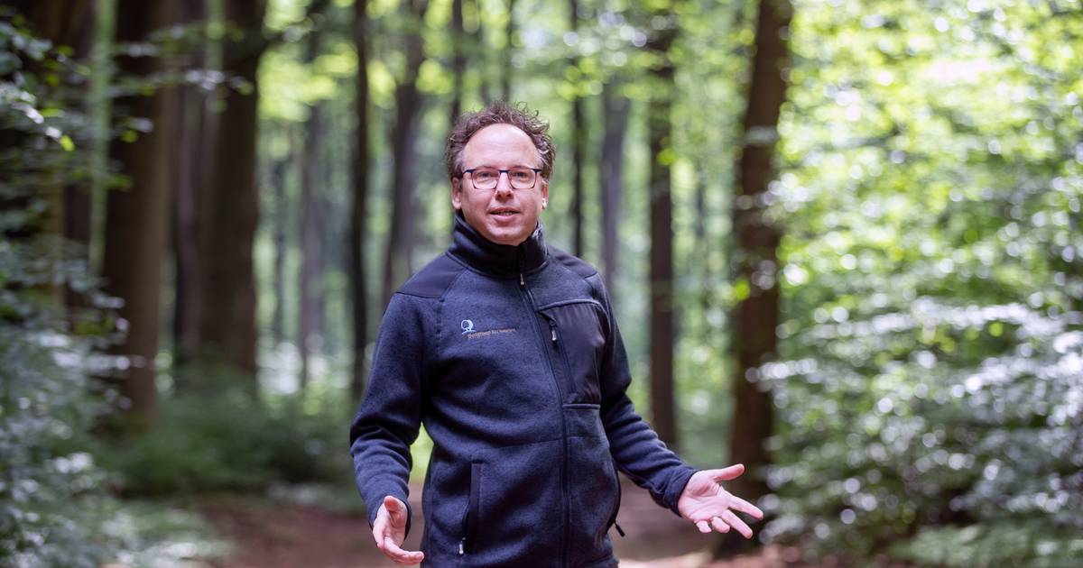 Het bos moet anders worden beheerd, anders hebben we over honderd jaar bijna geen bos meer ...