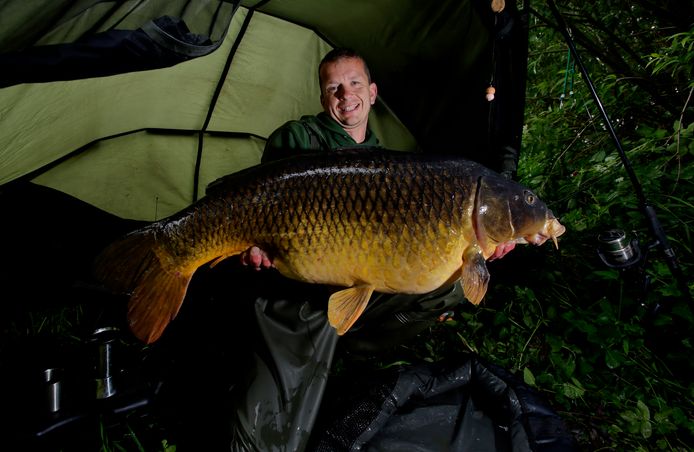 Gebroken nachten voor die karper van 20 kilo | Hoeksche Waard | AD.nl