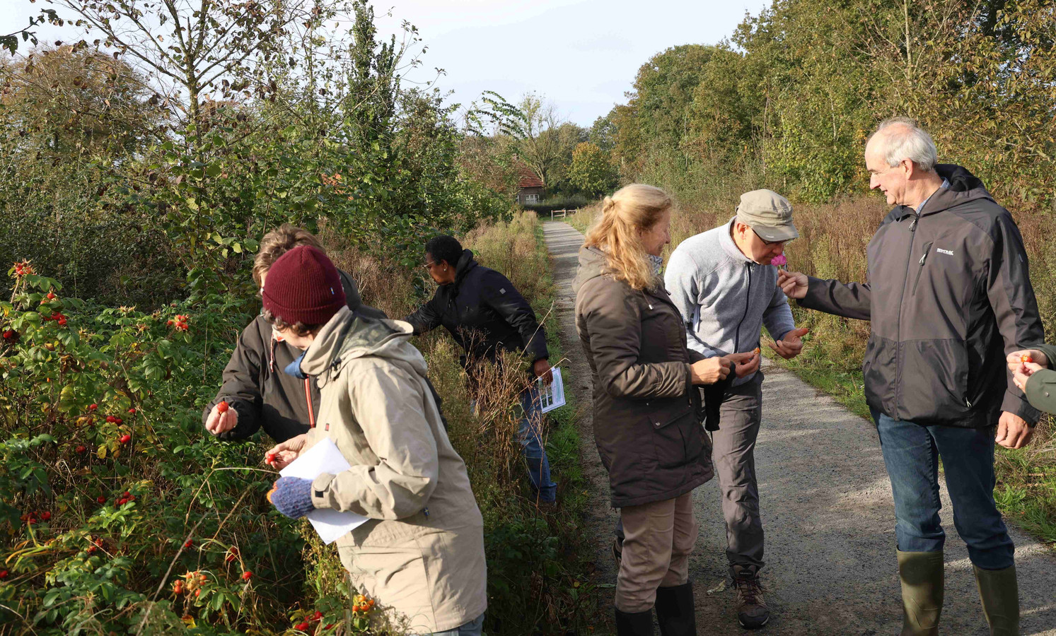 Ruiken, proeven en leren tijdens de kruidenwandeling | Foto | AD.nl