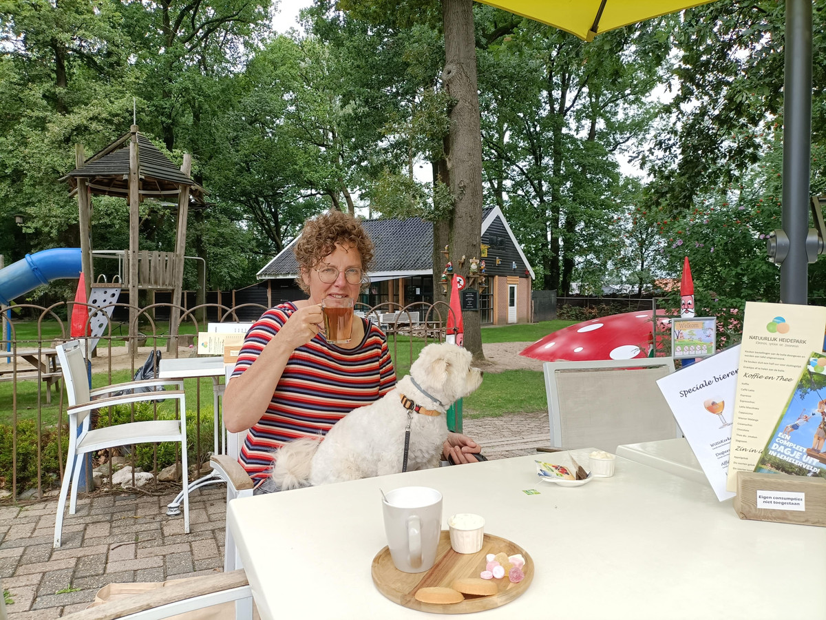 Dit stuurden jullie in: Lemelerveld heeft een goed bewaard geheim ... Dit stuurden jullie in: Lemelerveld heeft een goed bewaard geheim ...
