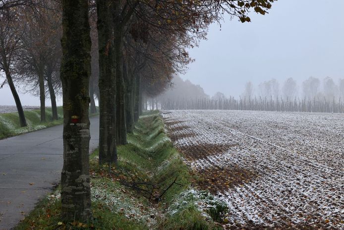 IN BEELD. Zuid-Limburg wordt wakker onder laagje eerste sneeuw ...