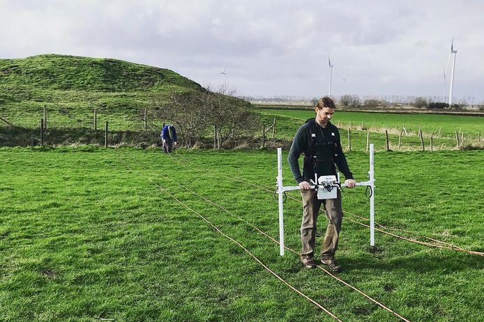 Historische Singelberg bedreigd door konijnen: groen licht voor ...