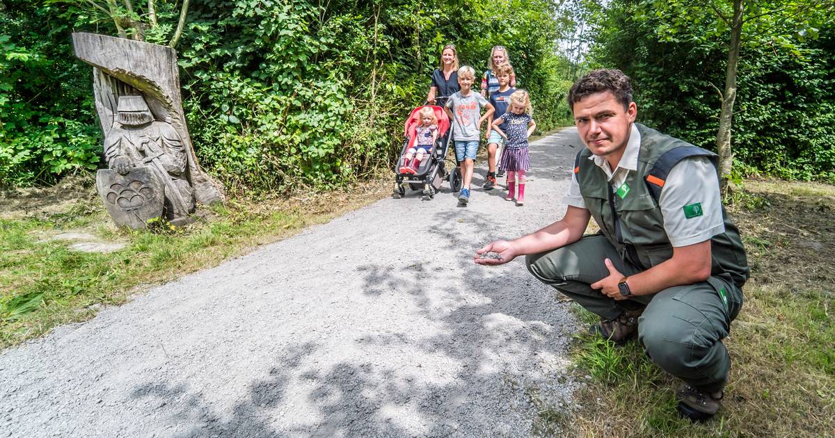 Staatsbosbeheer test onbegaanbare paden Balijbos, mindervaliden moeten ...