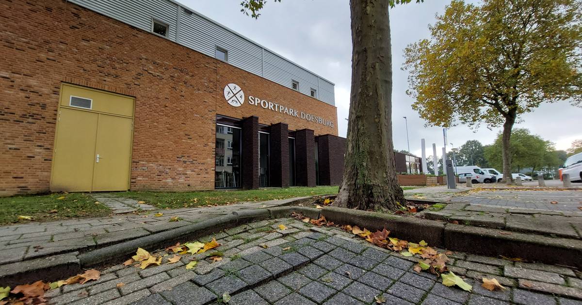 Boomwortels maken van stoep heuvellandschap: Doesburg grijpt in én legt ...