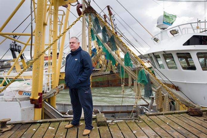 Help, de visserij verzuipt: zo wordt de Hollandse garnaal een ...