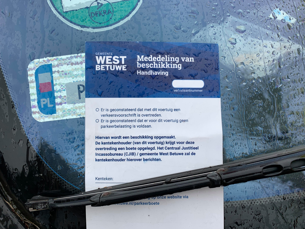 Ria vraagt feestelijk aandacht voor gedumpte auto: ‘Staat al weken voor ...