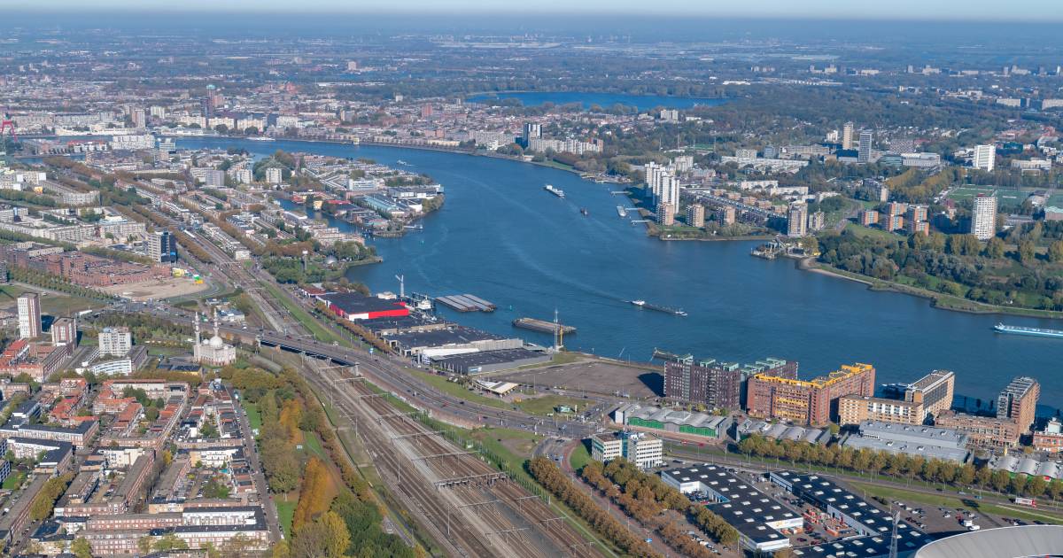 Krijgt Rotterdam een derde stadsbrug? ‘De wethouder moet met een heel ...