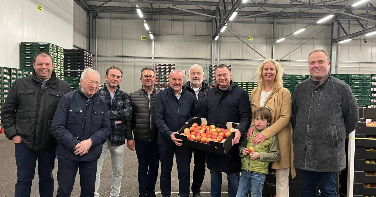 Fruitveiling BFV heeft na de fusie met BelOrta uitbreidingsplannen in ...