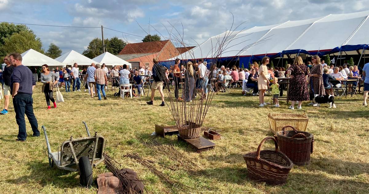 Kinderdisco, boerenbal en landbouwfeesten: vier ‘Dag van de Landbouw ...