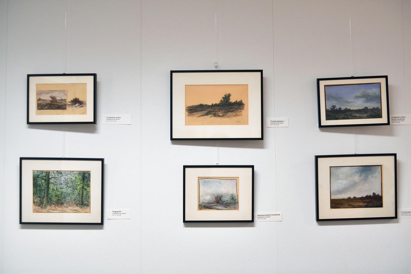 Overzichtstentoonstelling Bart Backx: ‘Zijn passie lag bij het ...