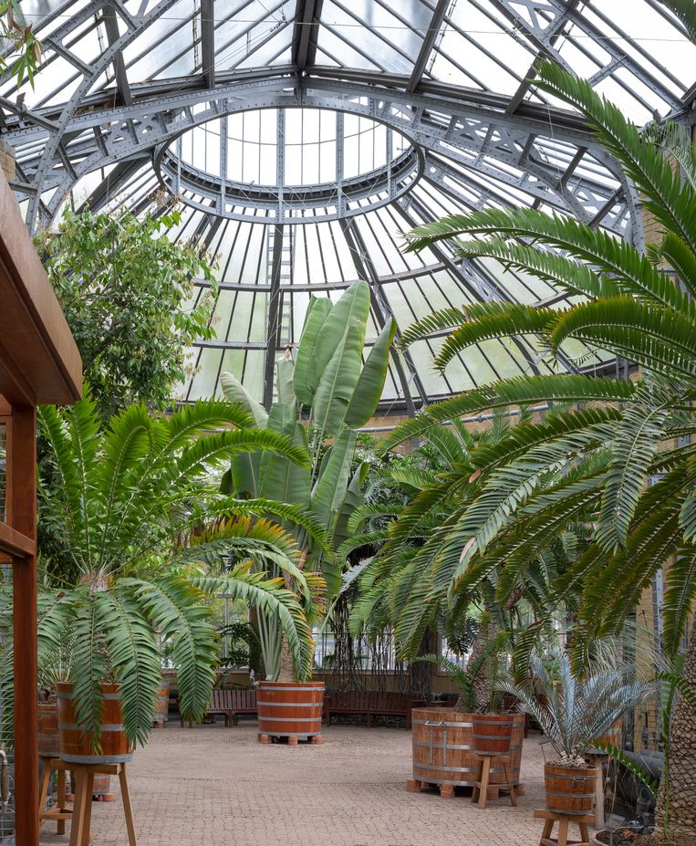 Hortus Botanicus wil open: ‘Bij ons veel veiliger dan in het park’