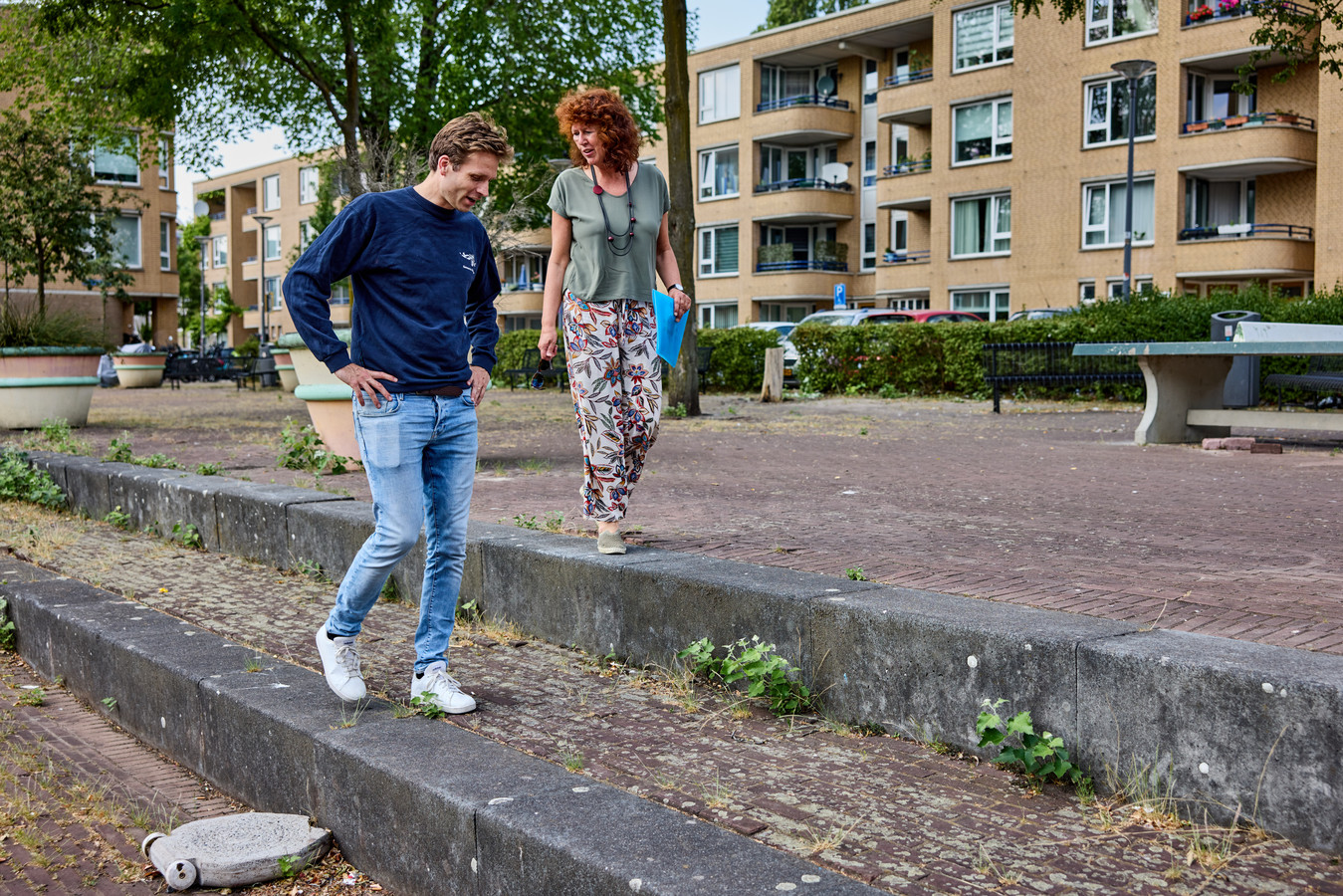 Rotterdam plant voor tientallen miljoenen aan bomen in de stad: ‘Het ...