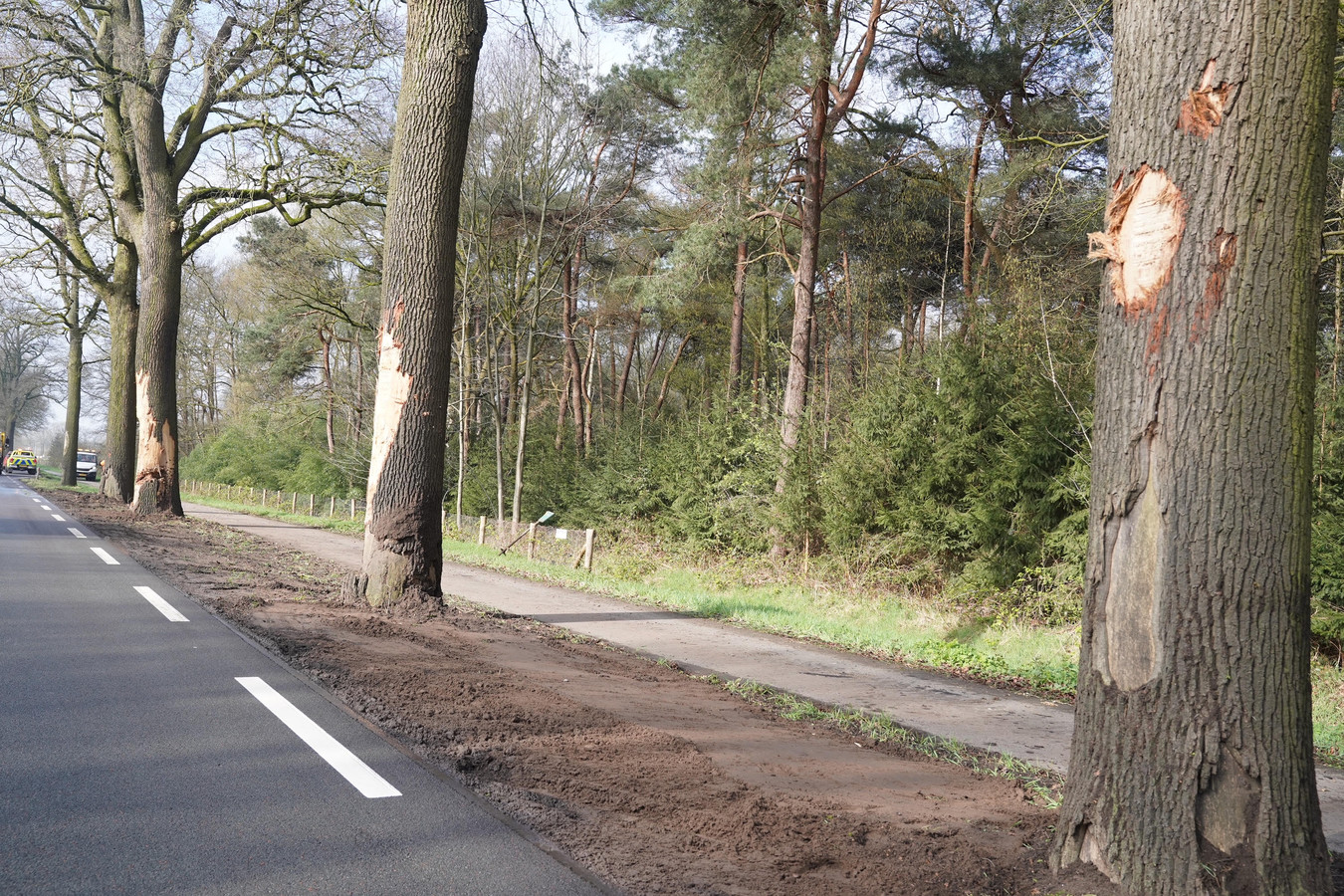 Vrachtwagen met 20.000 kilo aan betonnetten ramt drie bomen langs de ...