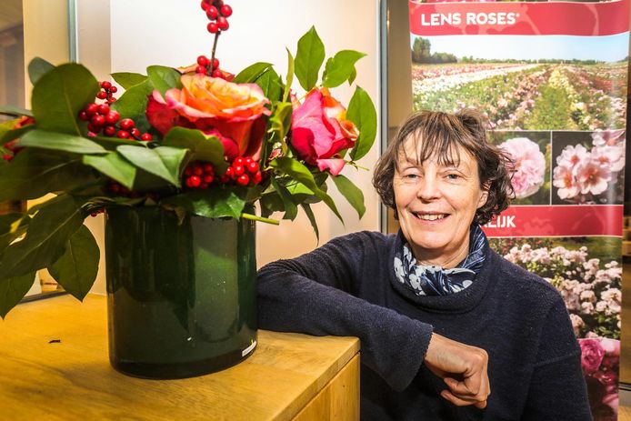 Lens Roses scoort met drie nieuwe rozen | Oudenburg | hln.be