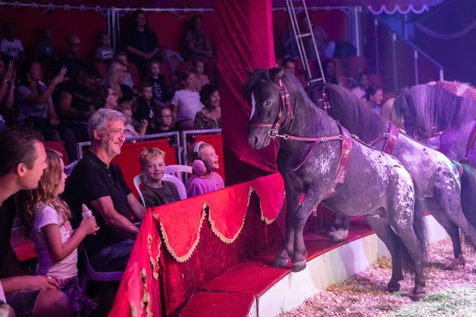 Circus Bossle in Wemeldinge doet goede zaken na de hitte | Bevelanden ...