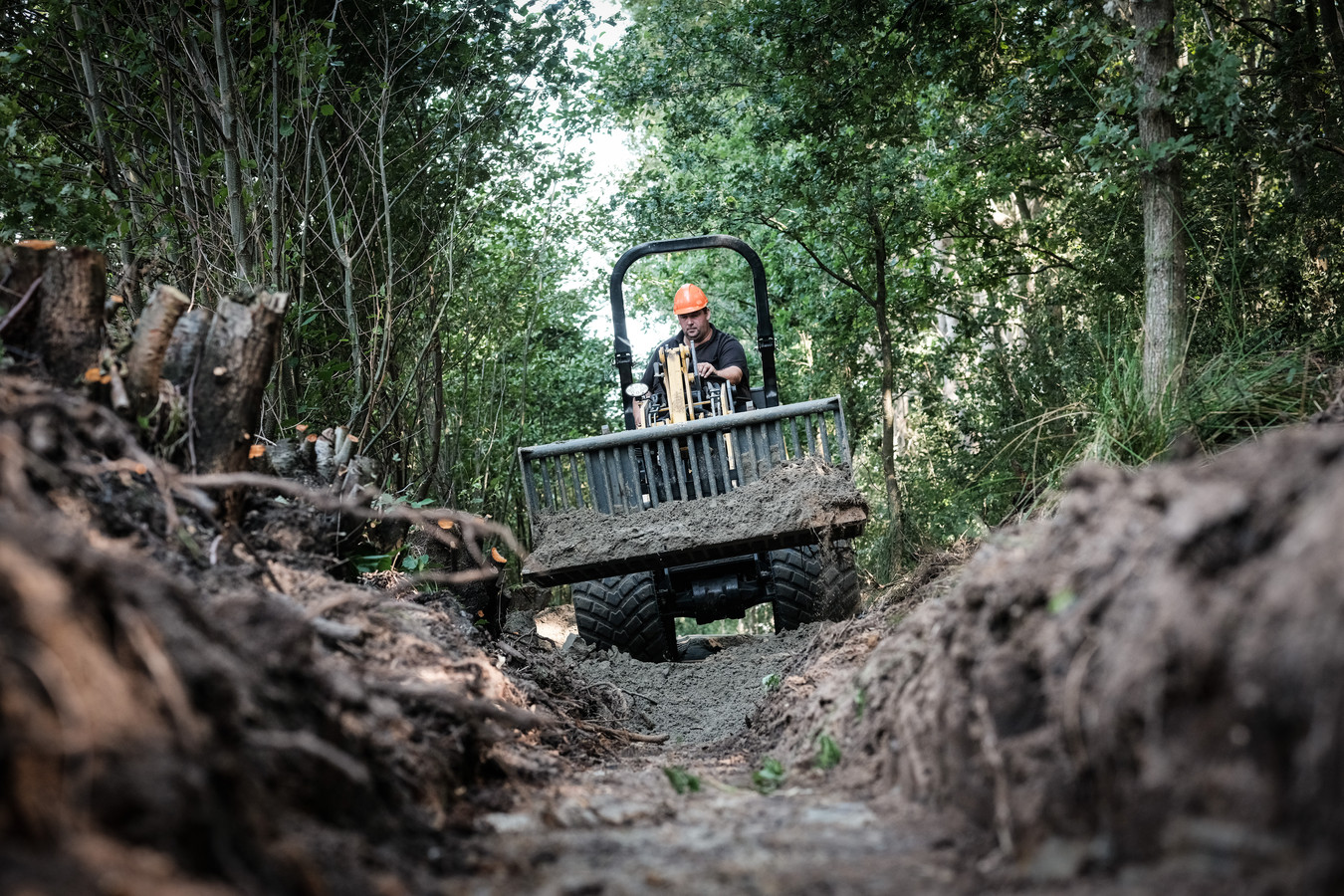Laat het maar lekker regenen, vinden de boeren: ‘Als een sloot vol is ...