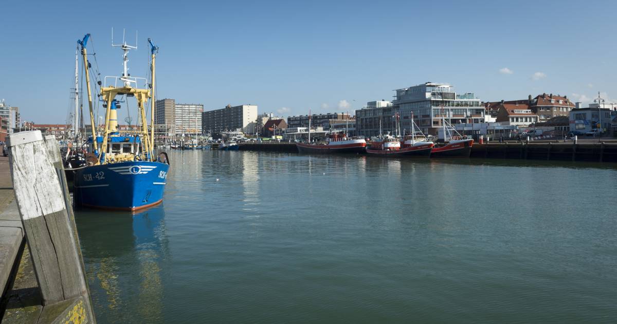 Cruiseschepen zetten koers naar Scheveningen | Den Haag | AD.nl