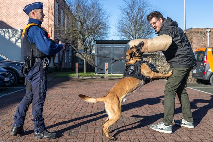 Wat te doen in het Waasland en Dendermonde dit weekend? Van feestelijke ...
