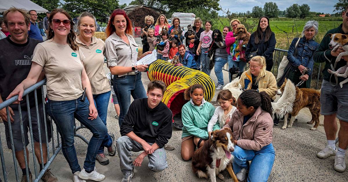17 viervoeters nemen deel aan eerste editie AVEVE-Hondenrace: “Een oude ...
