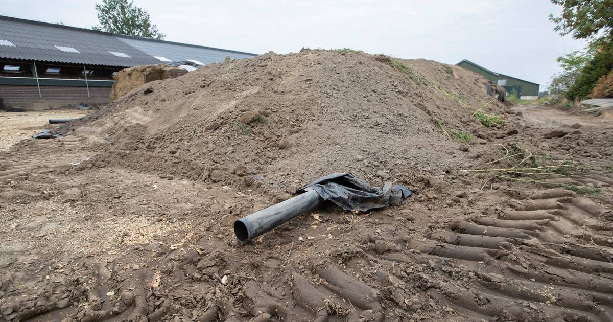 Giftig gas ontsnapt uit maïskuil Elburg | Elburg | destentor.nl