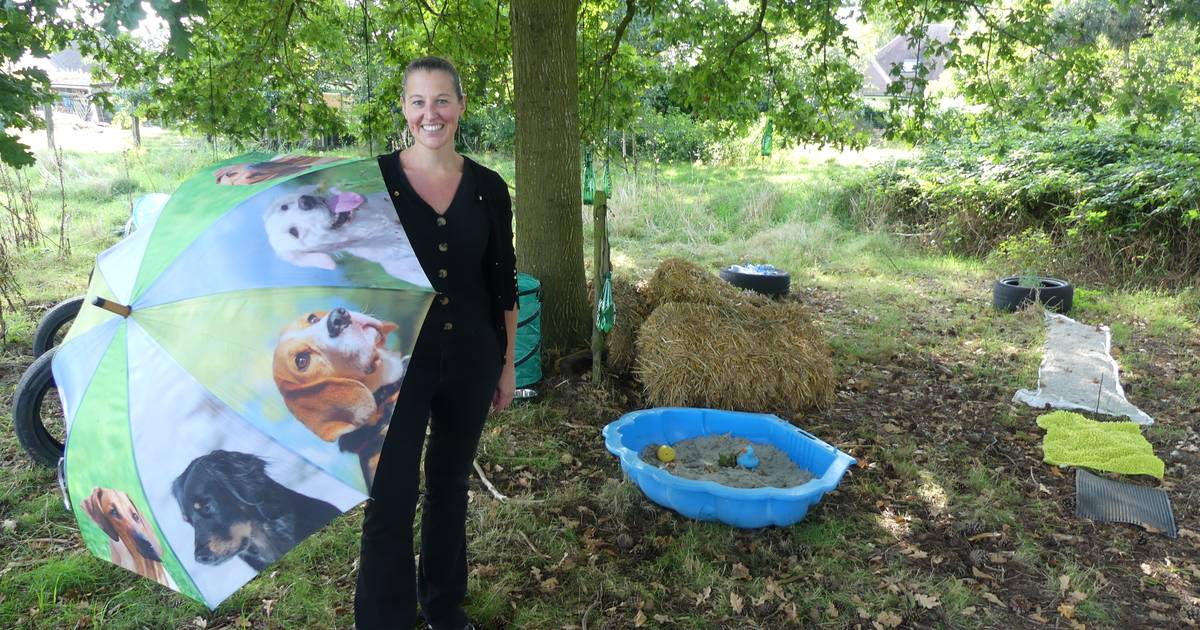Eline opent snuffeltuin voor honden: “Een ontspannende ontdekkingstocht voor hond en baasje ...
