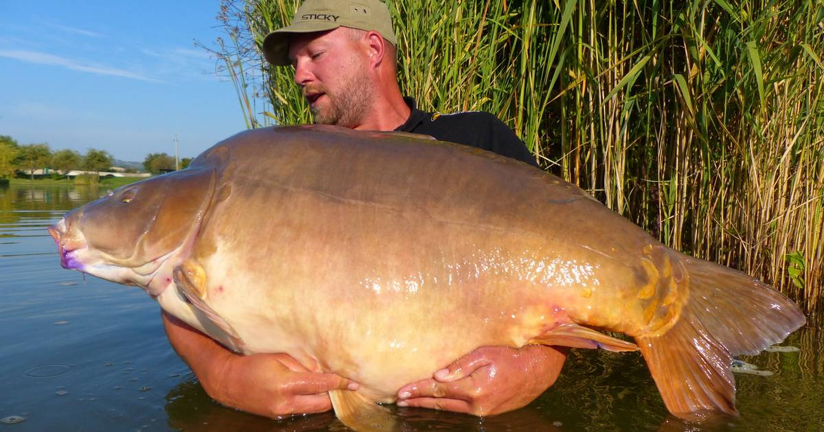 Spijkenisser apetrots op gevangen monsterkarper | Nieuws | AD.nl