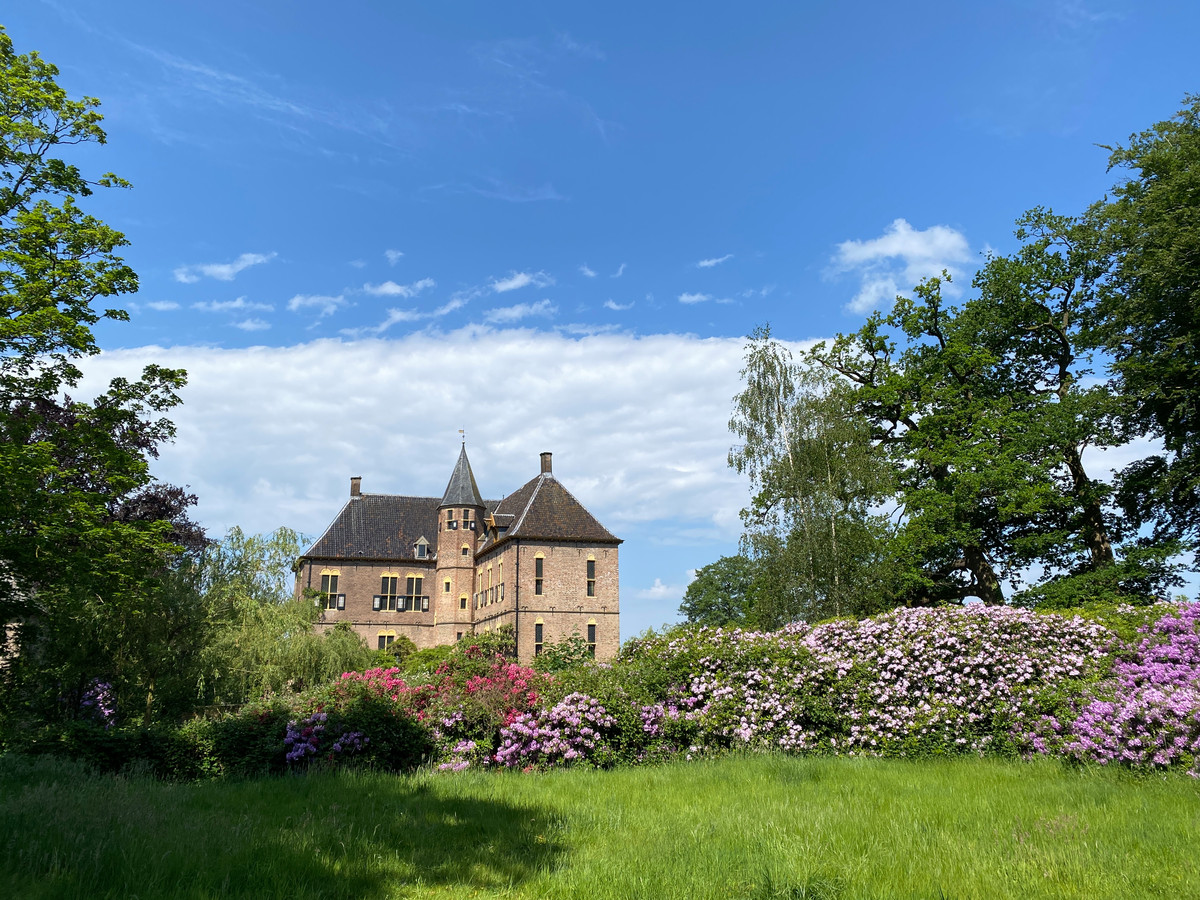 Van hotspot naar hotspot in magische bossen tussen Ruurlo en Vorden ...