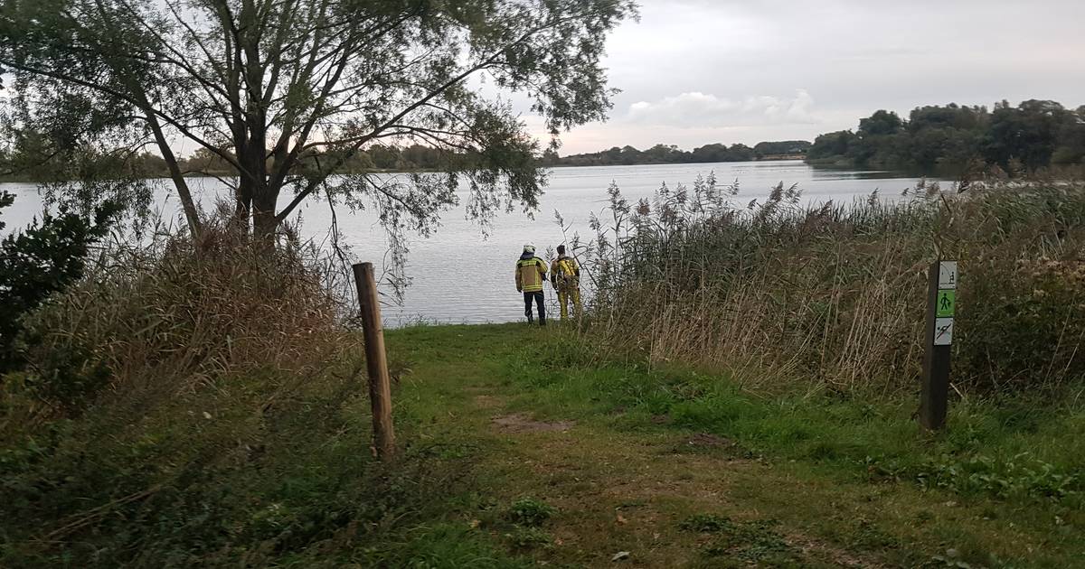 Grootschalige zoekactie naar vermiste in natuurdomein De Hoge Dijken ...