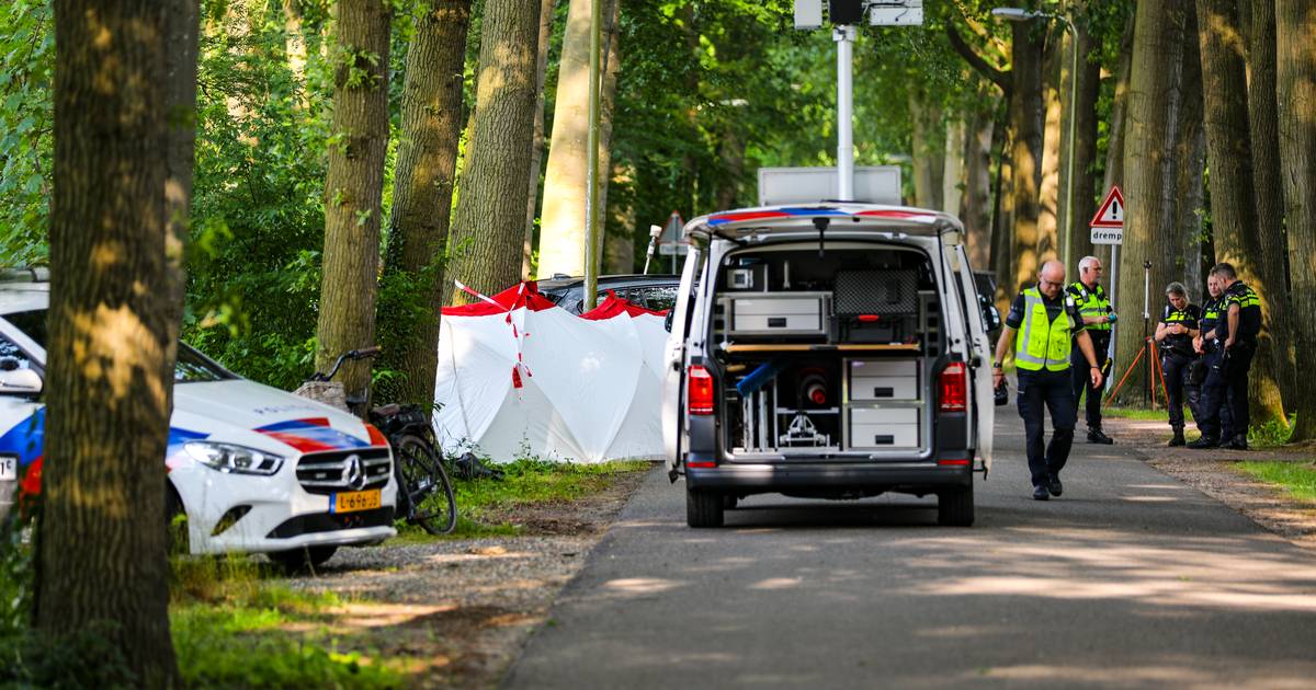 7-jarige jongen komt om het leven bij ernstig ongeval in Diepenveen, automobilist (84 ...