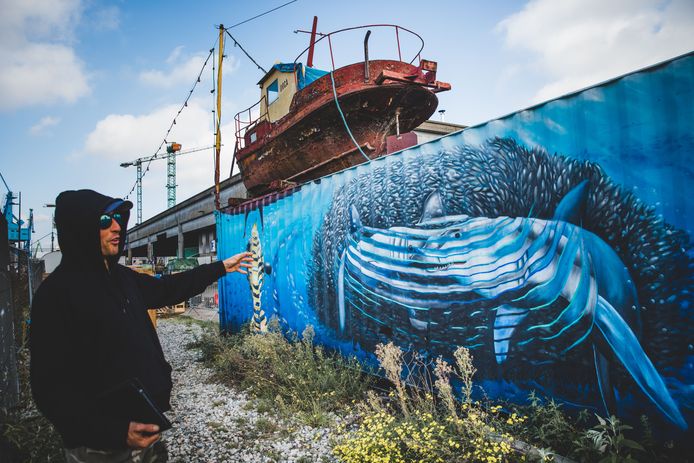 Straf! Overal duikt street art van Cee Pil op | Gent | hln.be