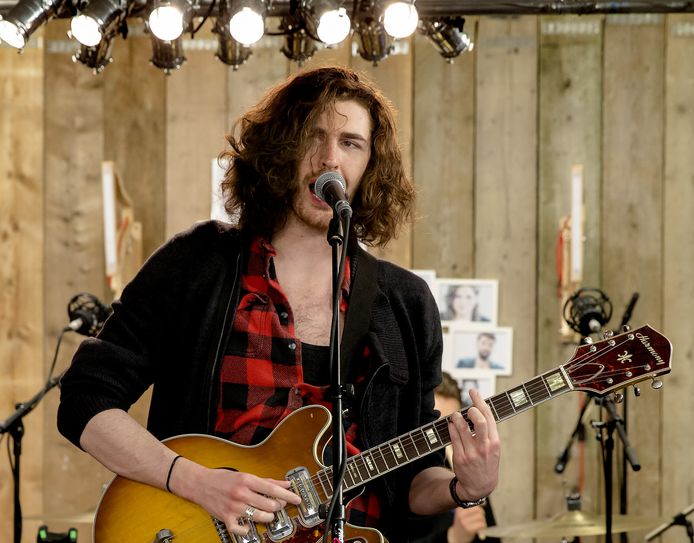 Hoeveel weet jij van Hozier? | Show | gelderlander.nl