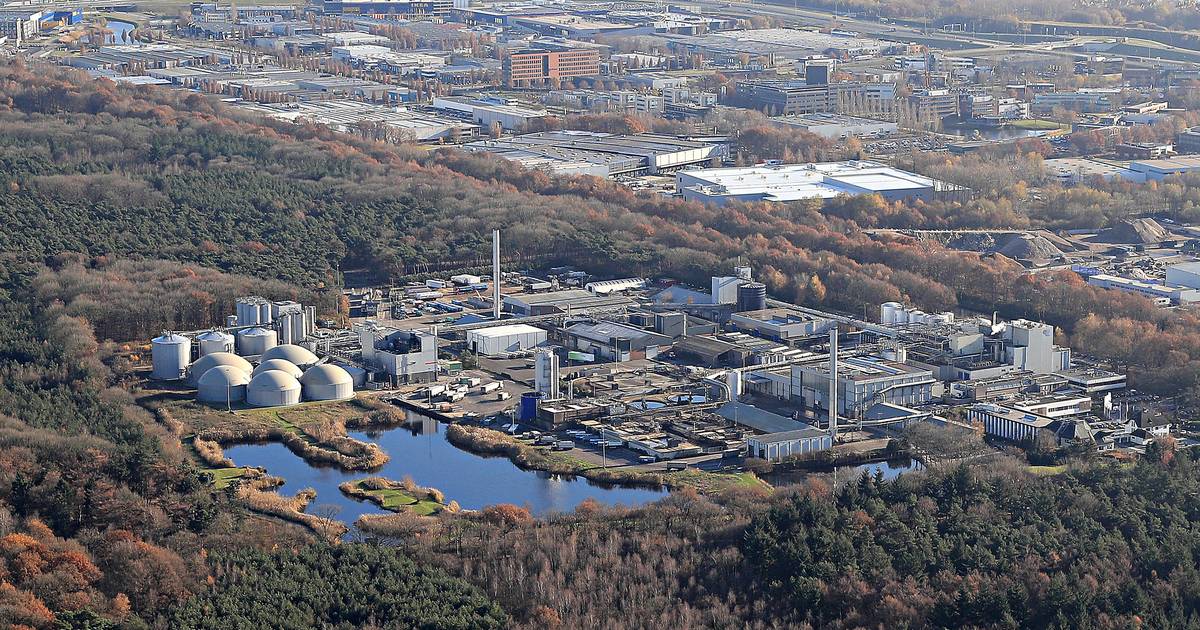 Rendac en Ecoson in Son boeken hogere winst | Economie | ed.nl