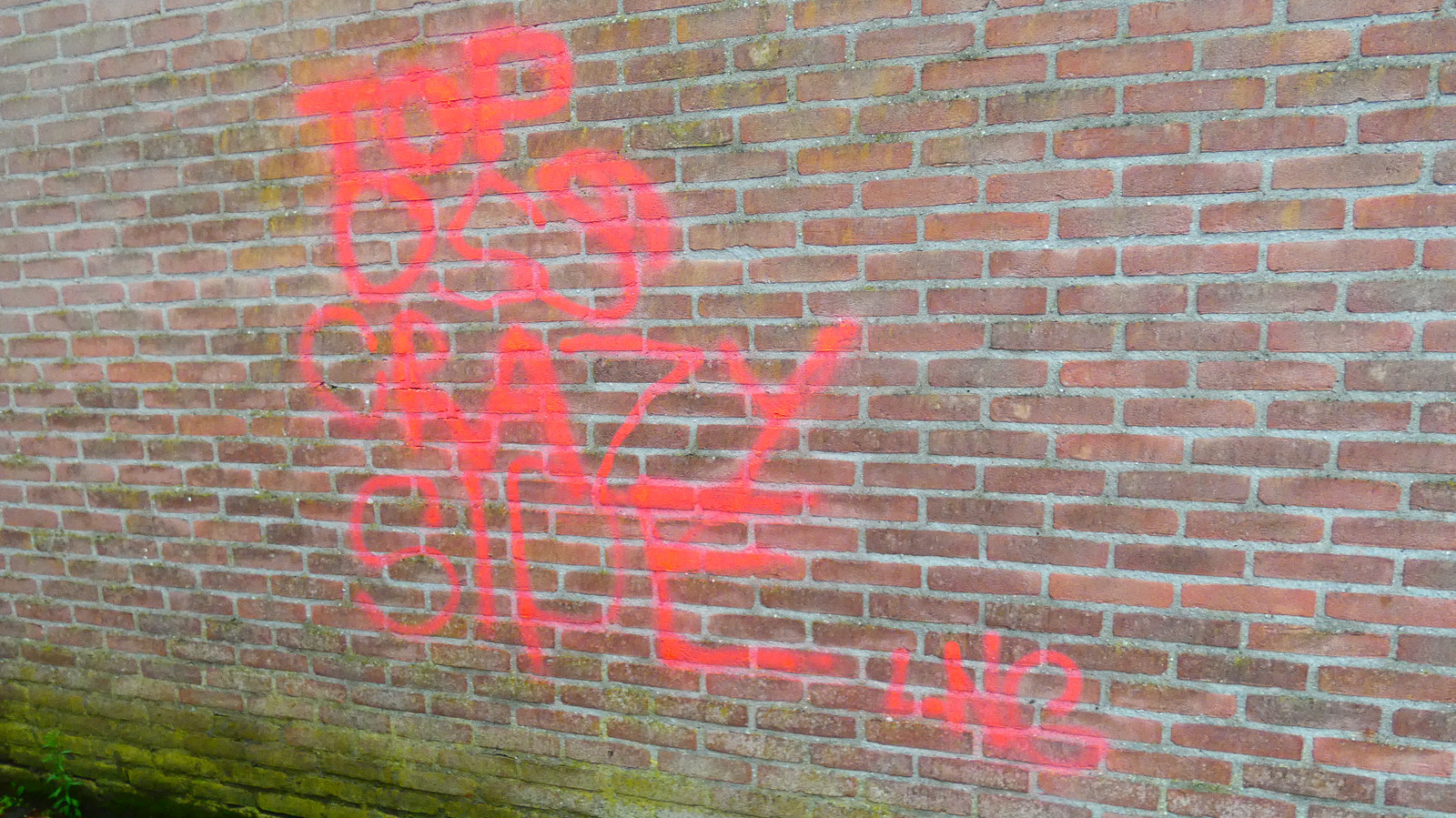 Talloze muurtjes in Oss met graffiti beklad met TOP Oss-leuzen | Foto | AD.nl