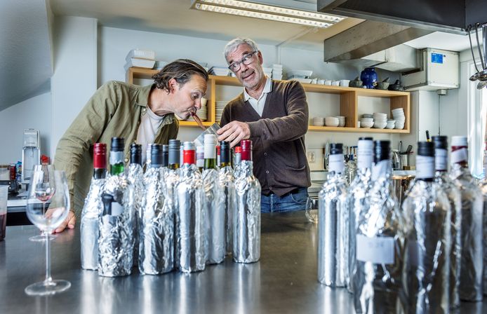 Hamersma test 148 alcoholvrije wijnen: van deze 5 krijg je geen kater ...